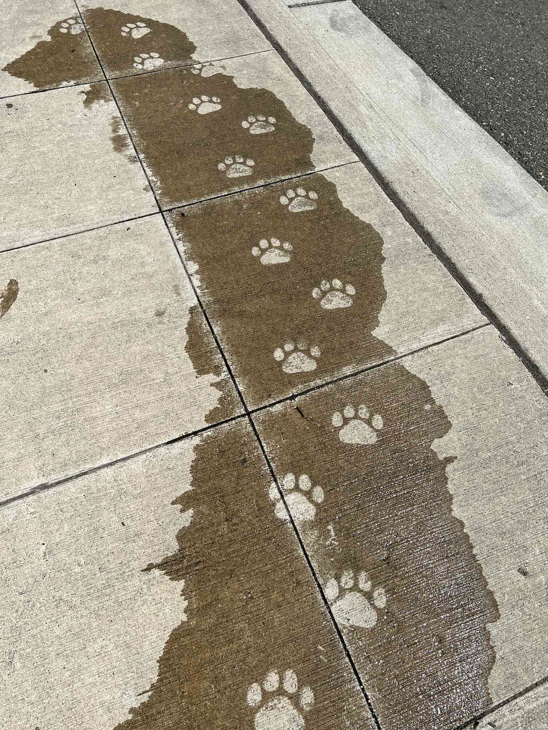 Shop All Products – Rainworks